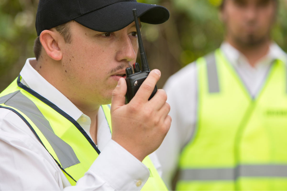 Servicios - Seguridad Themis